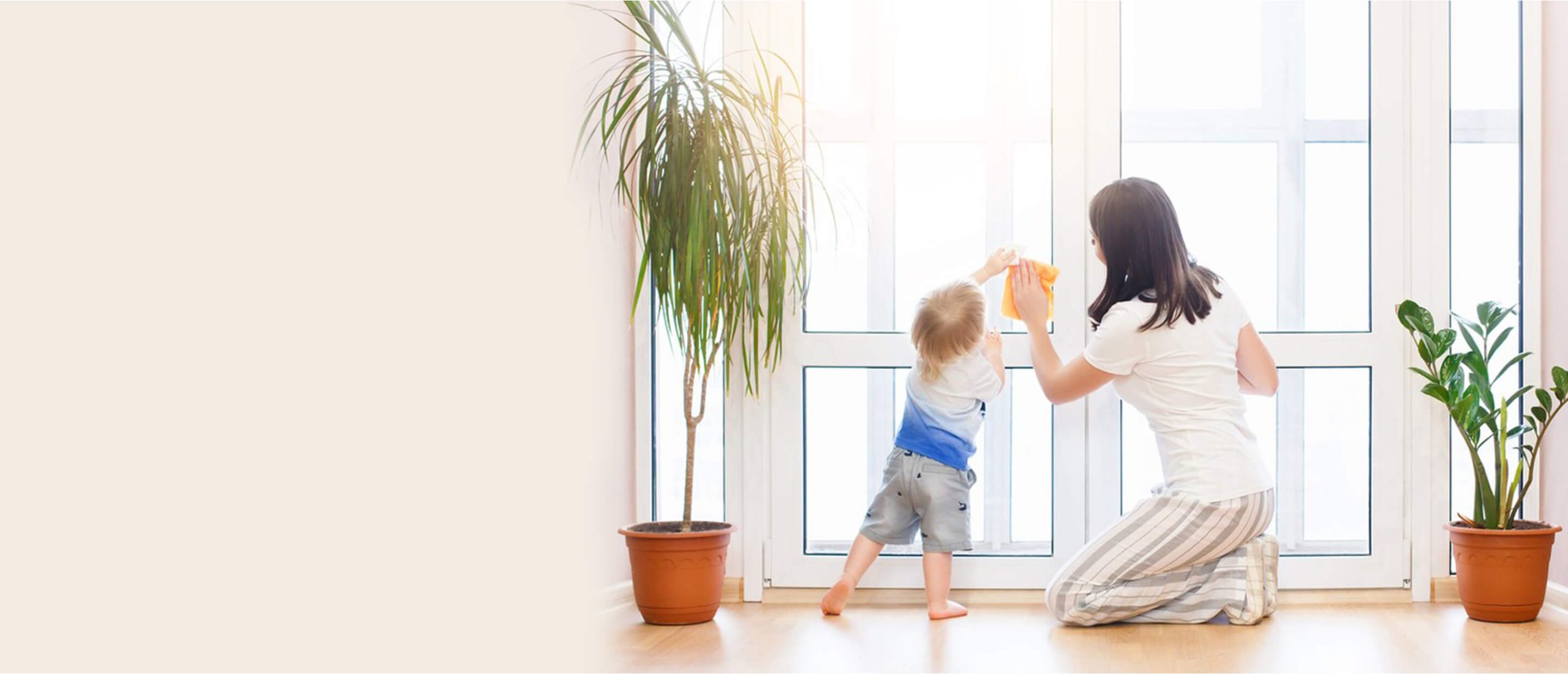 Biosafe Organics – Organic Cleaners and Organic Soaps